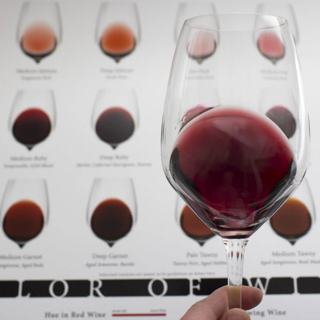 Color of Wine Poster – Wine Folly