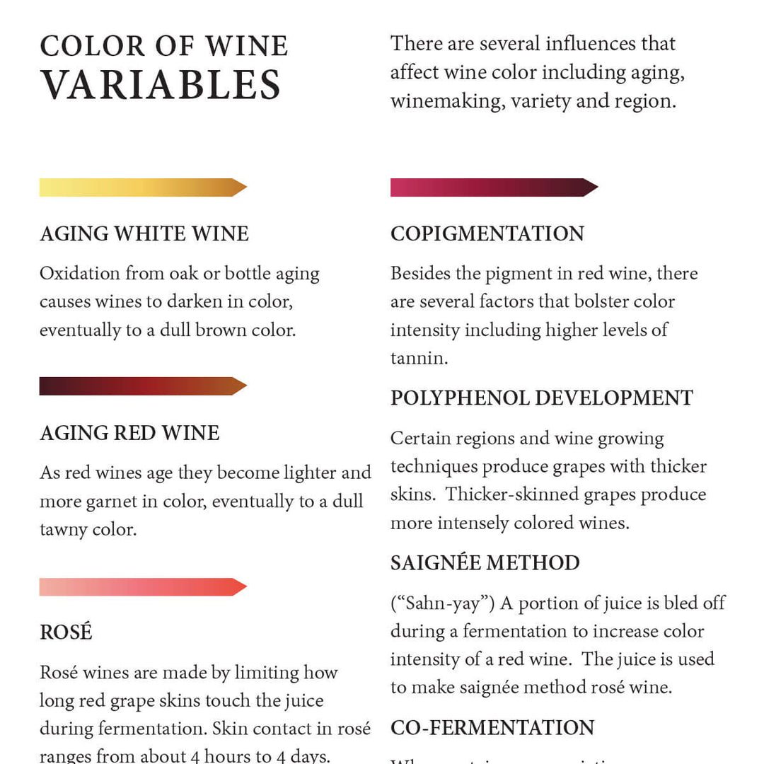 Color of Wine Poster – Wine Folly