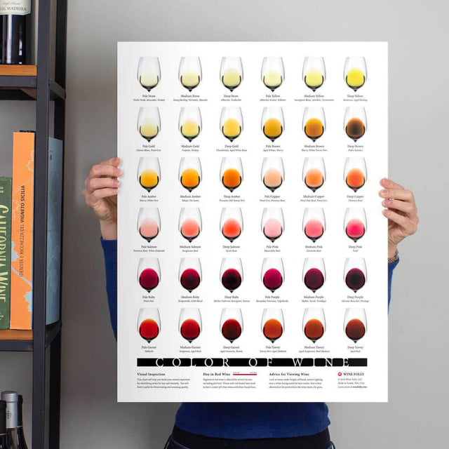 Color of Wine Poster – Wine Folly