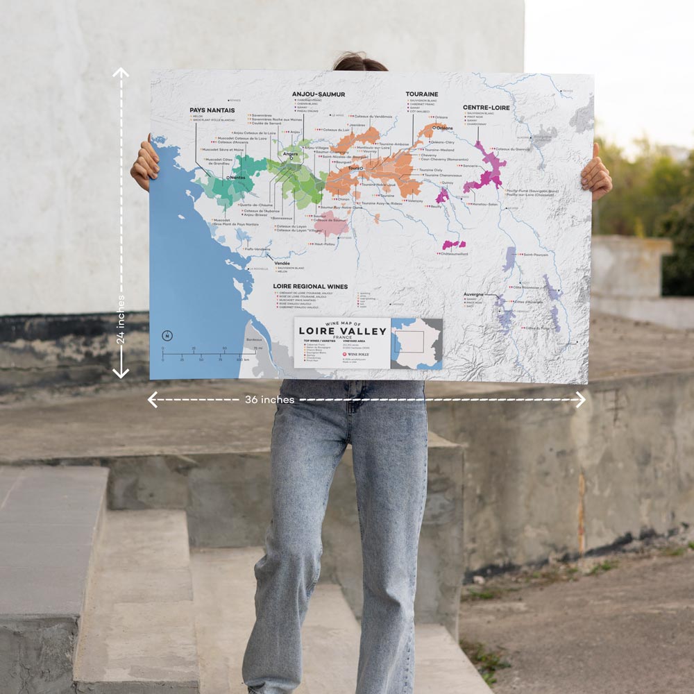 France Loire Valley XL Wine Map - 2nd Edition – Wine Folly