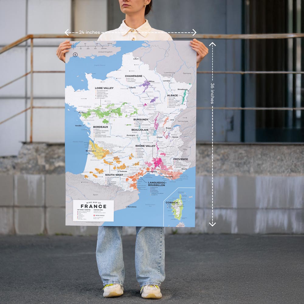 France XL Wine Map - 2nd Edition – Wine Folly