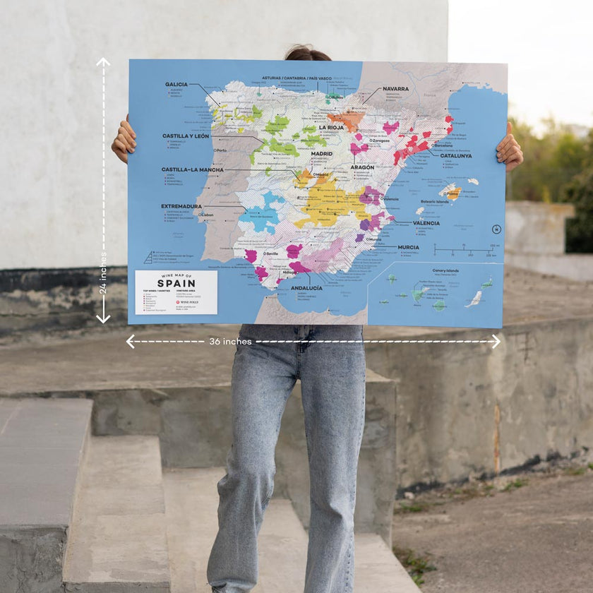 Spain Wine Map XL - 2nd Edition – Wine Folly
