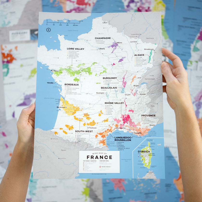 Wine Folly Wine Map Set - 2nd Edition