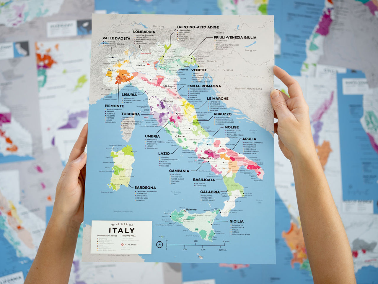 Maps of Wine Regions & Appellations by Country | Wine Prints – Wine Folly