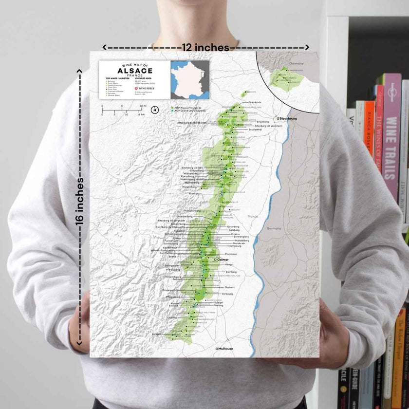 France Alsace Wine Map - 2nd Edition – Wine Folly