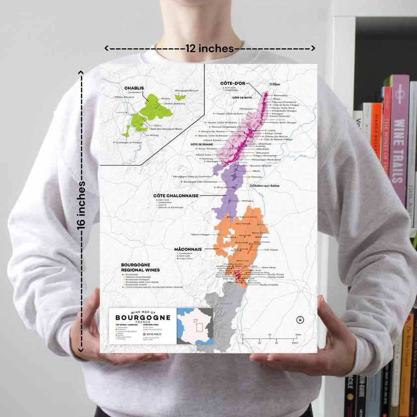 France Bourgogne (Burgundy) Wine Map - 2nd Edition – Wine Folly