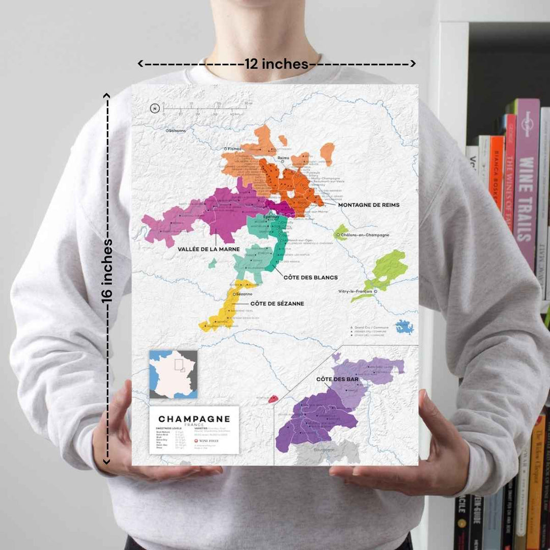 France Champagne Wine Map - 2nd Edition – Wine Folly