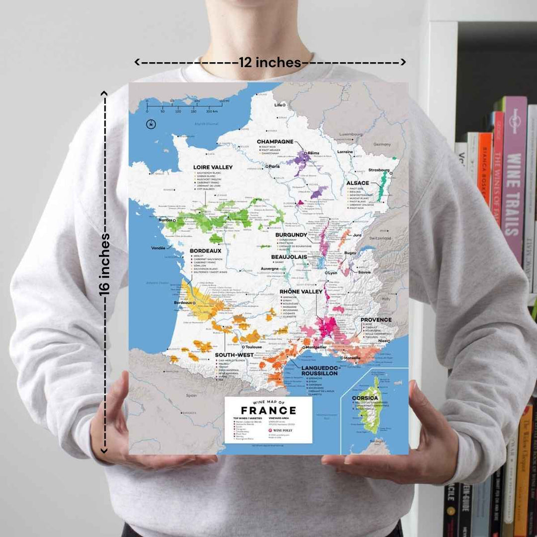 France Wine Map - 2nd Edition – Wine Folly