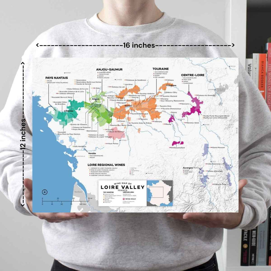 France Loire Valley Wine Map - 2nd Edition – Wine Folly