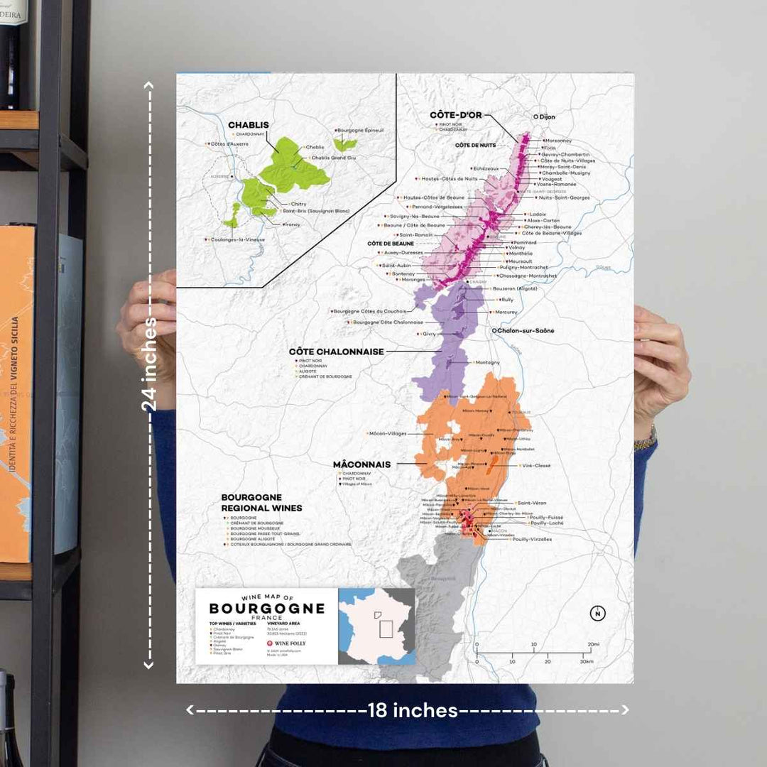 France Bourgogne (Burgundy) Wine Map - 2nd Edition – Wine Folly