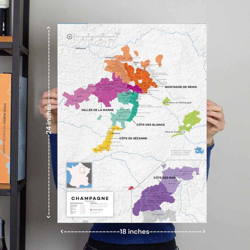 France Champagne Wine Map - 2nd Edition – Wine Folly