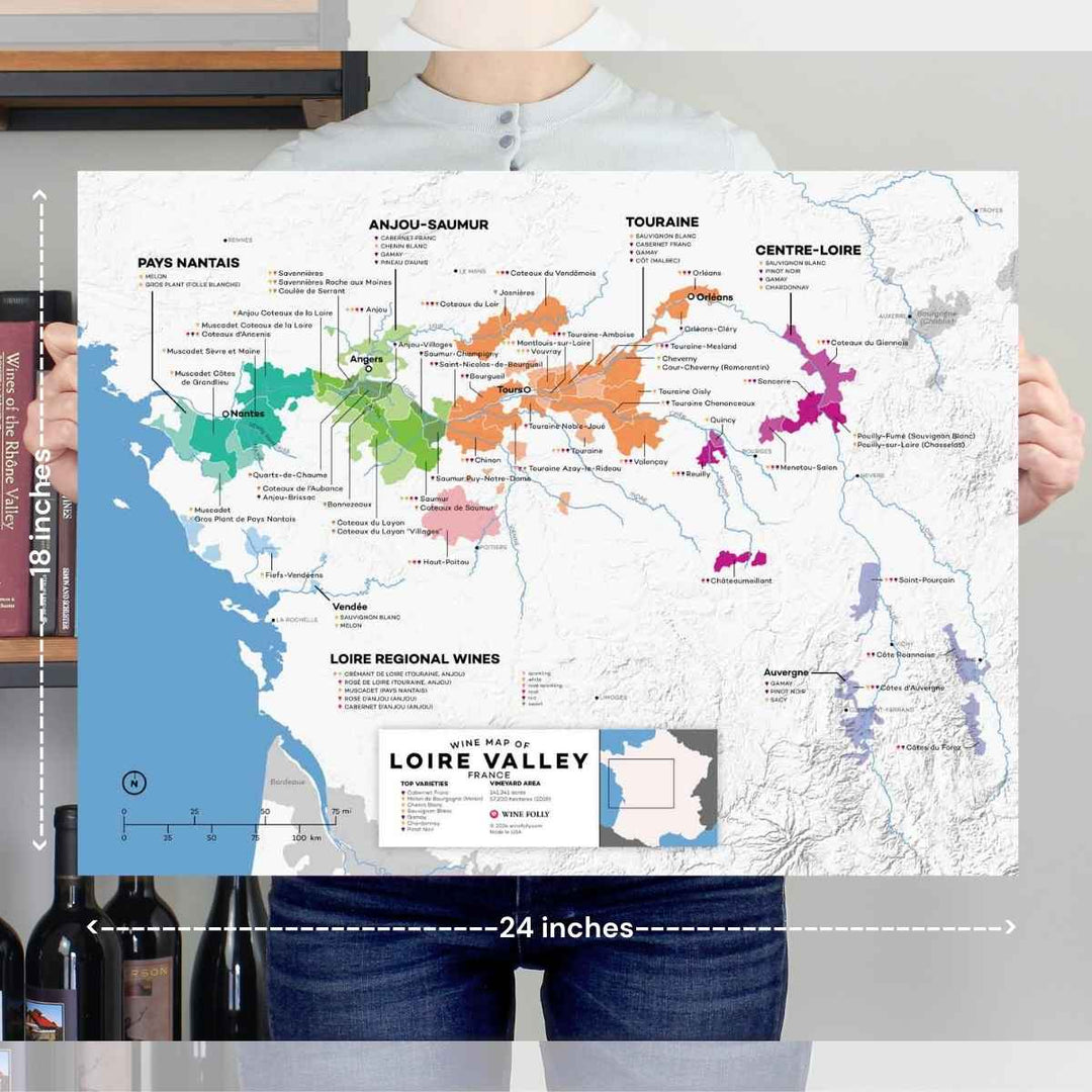 France Loire Valley Wine Map - 2nd Edition – Wine Folly