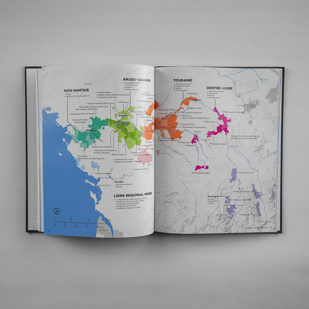Wine Folly Wine Maps Book