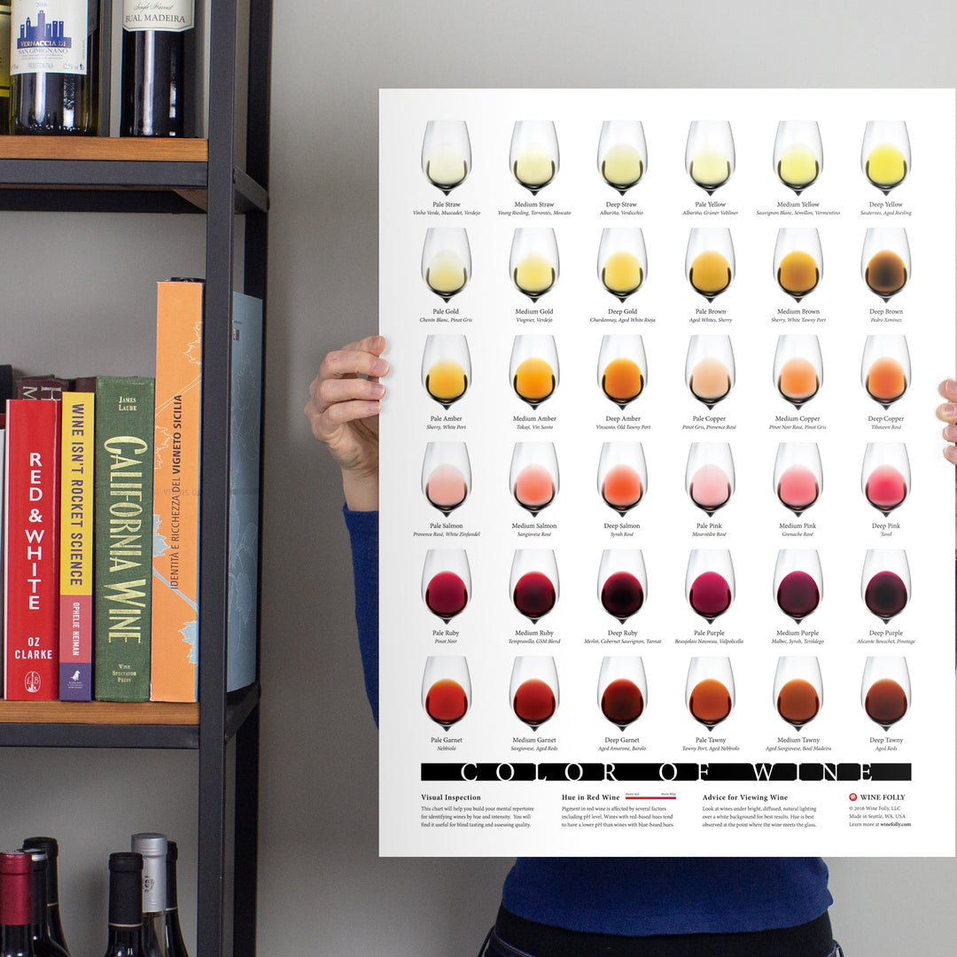 Color of Wine Poster – Wine Folly