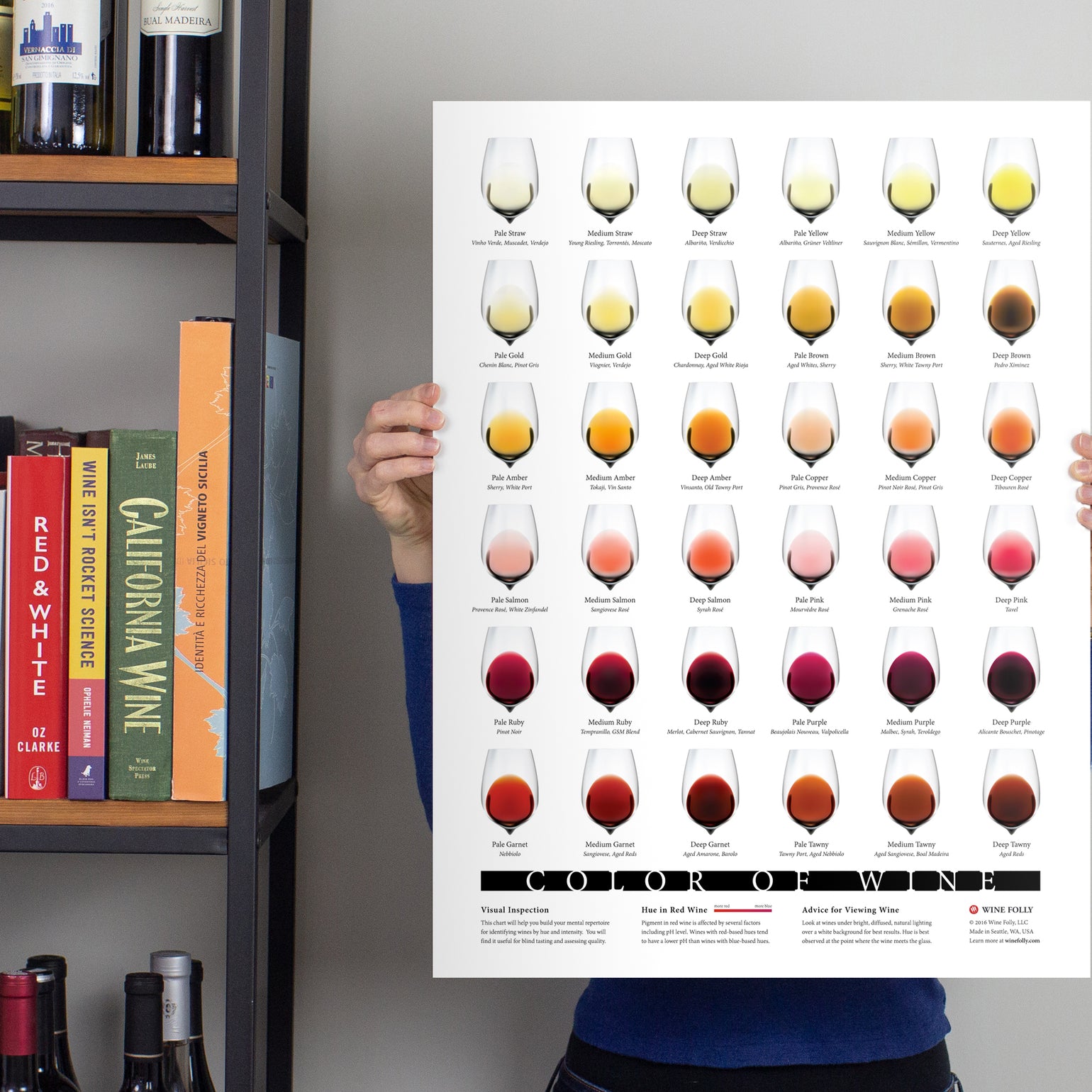 Color of Wine Poster – Wine Folly