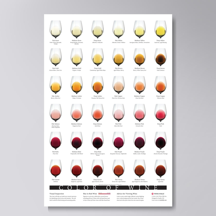 Color of Wine Poster – Wine Folly
