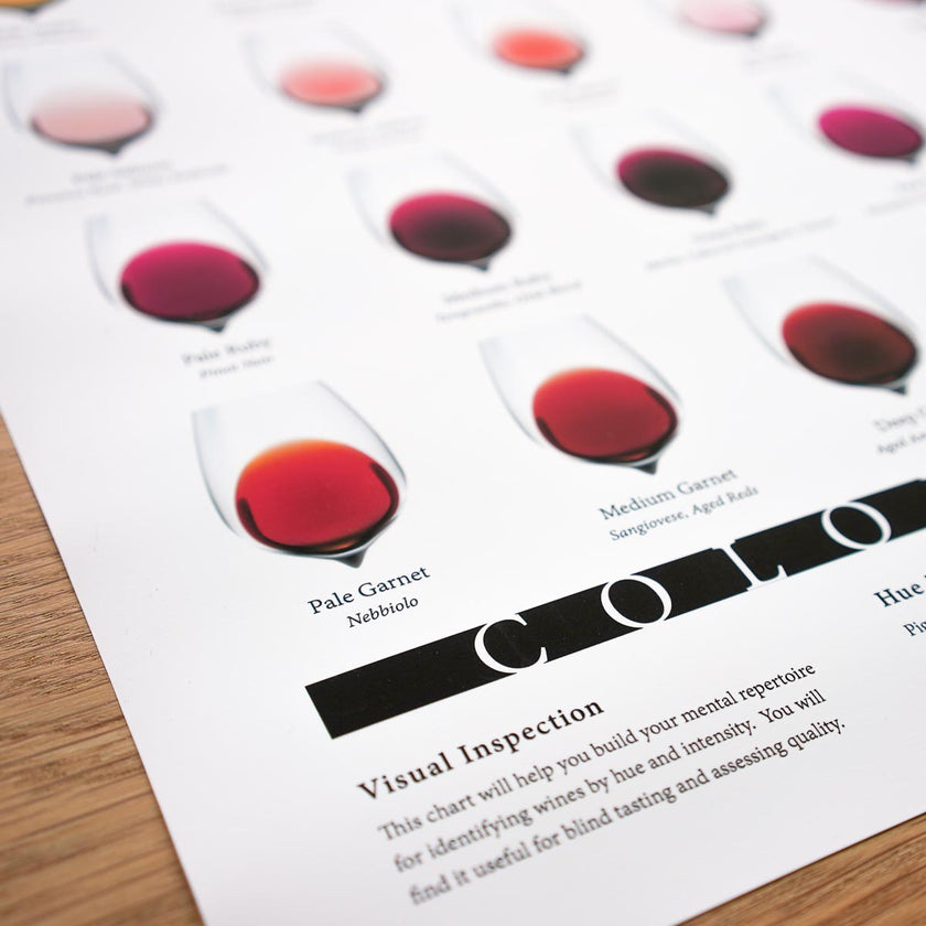 Color of Wine Poster – Wine Folly