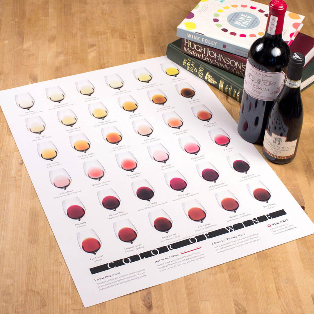 Color of Wine Poster – Wine Folly