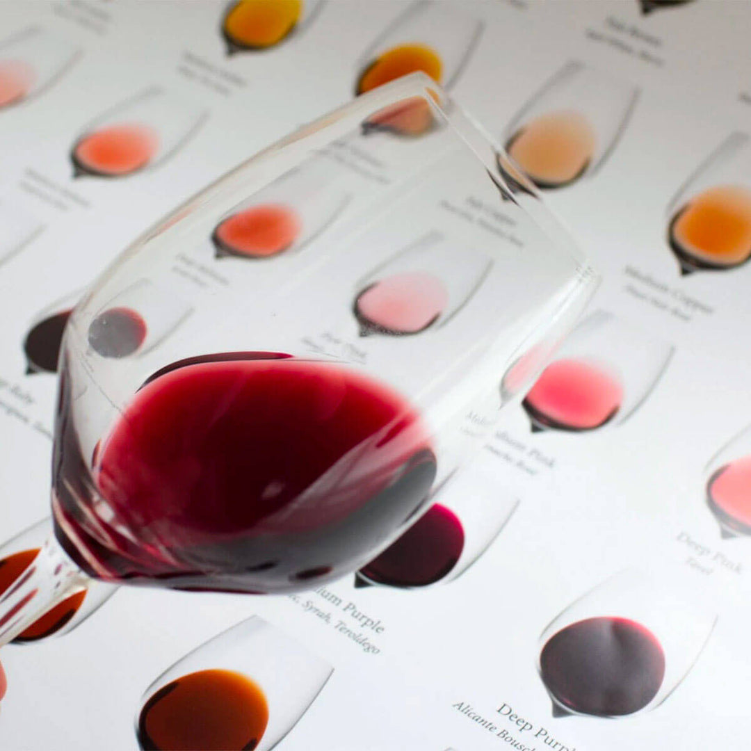 Color of Wine Poster – Wine Folly