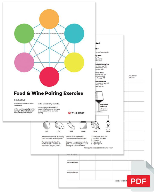 Wine & Food Pairing Activity Guide (Digital Download PDF) | Wine Folly