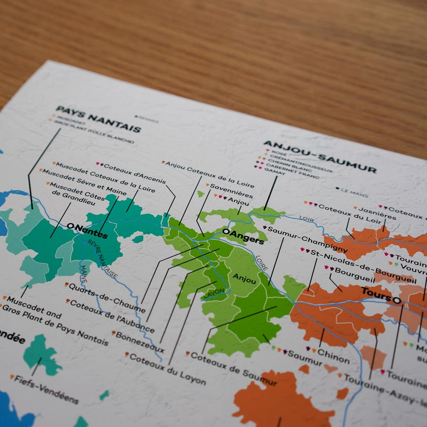 France Loire Valley XL Wine Map - 2nd Edition – Wine Folly