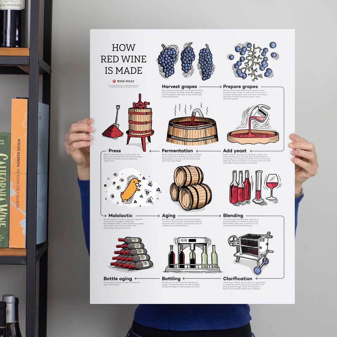 How Red Wine is Made Poster | Wine Folly