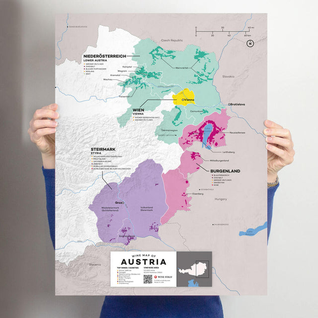 Products – Tagged "Wine Maps" – Wine Folly