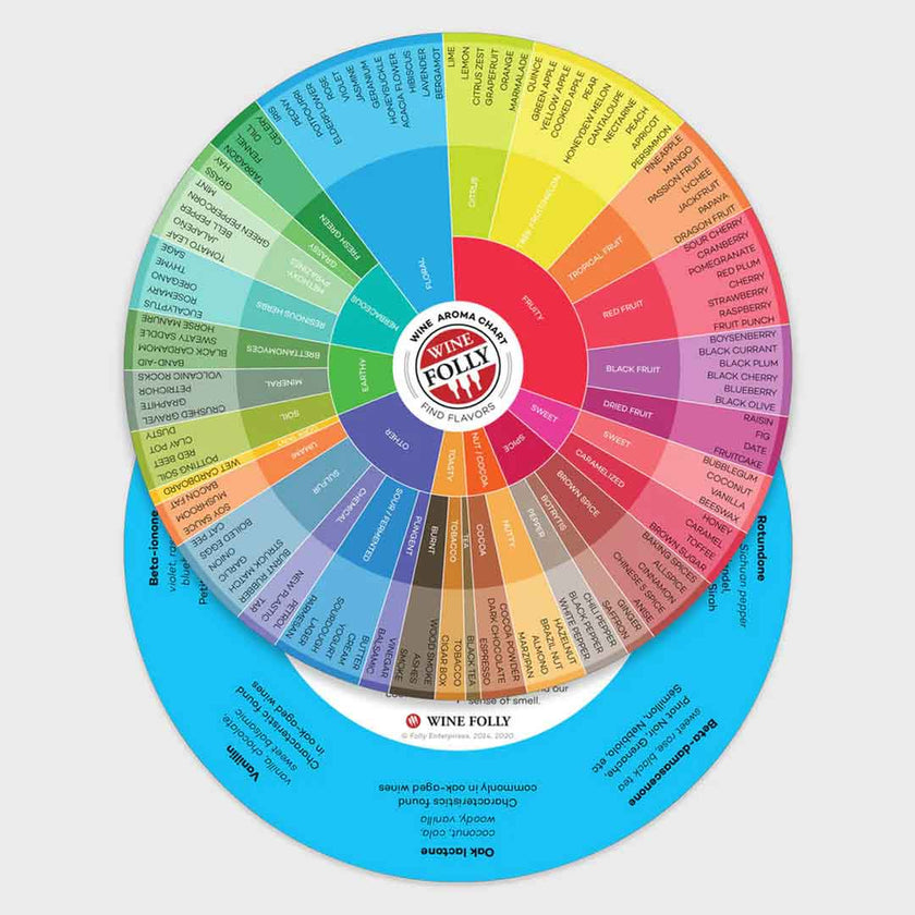 Wine Aroma Charts (Digital) – Wine Folly