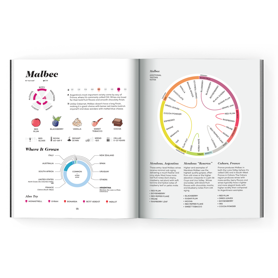 Wine Folly Magnum Edition: The Master Guide + Wine 101