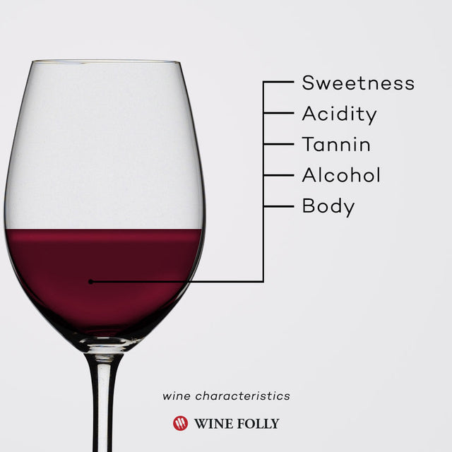 Wine 101 | Wine Course | Wine Folly