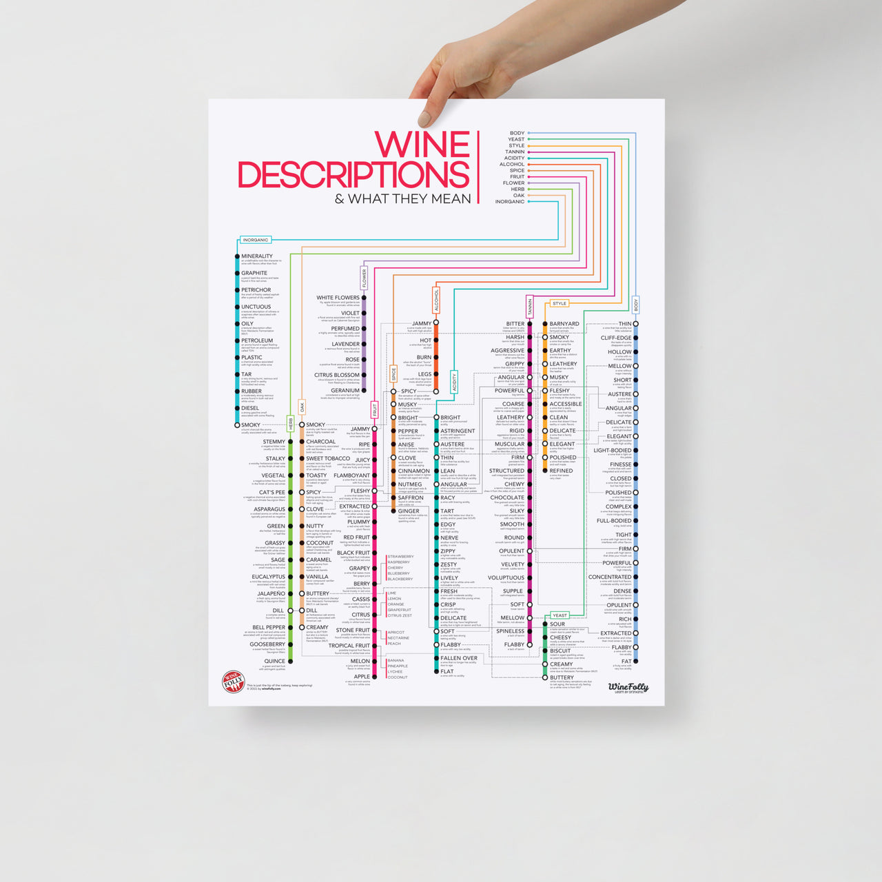 120+ Wine Descriptors Poster – Wine Folly