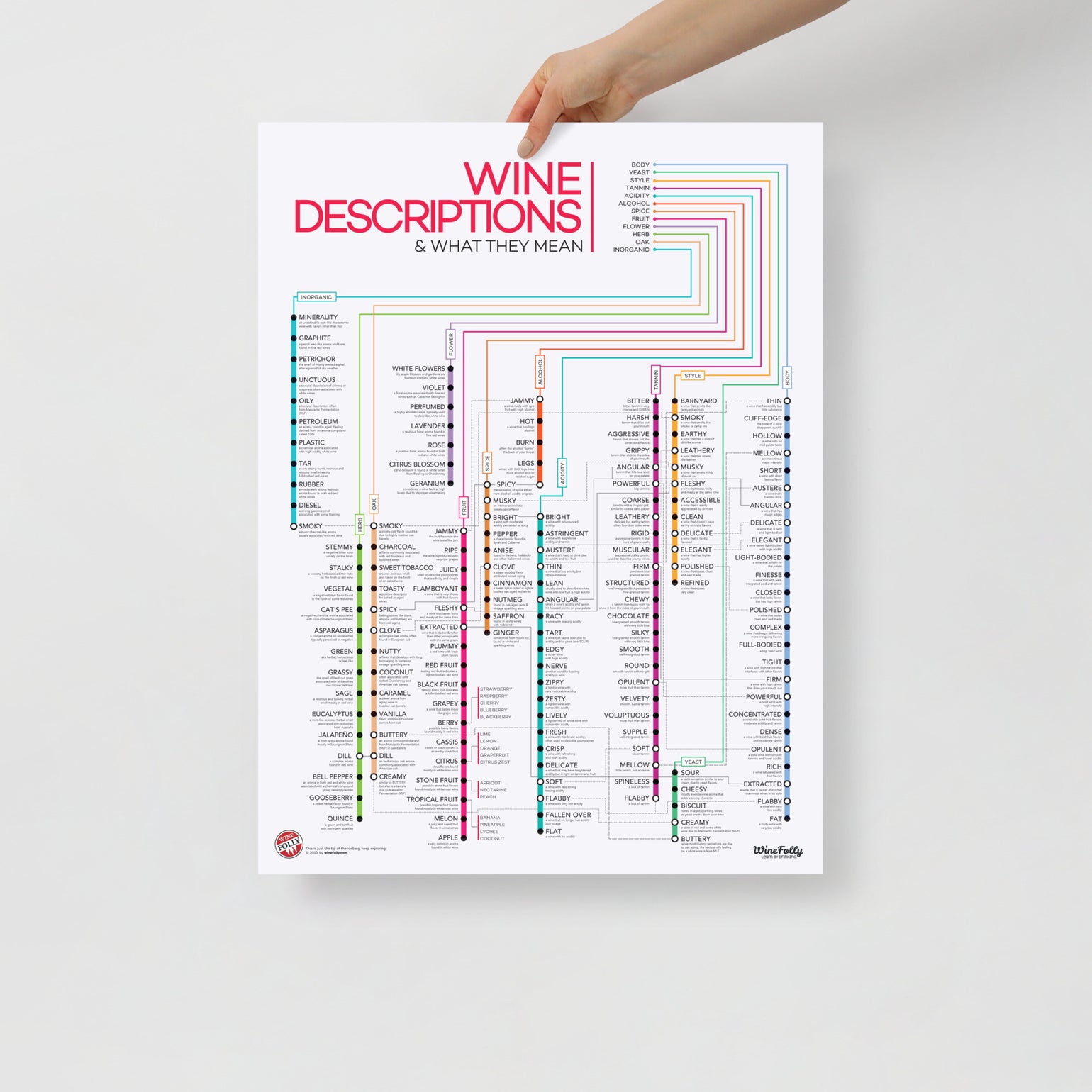 120+ Wine Descriptors Poster – Wine Folly