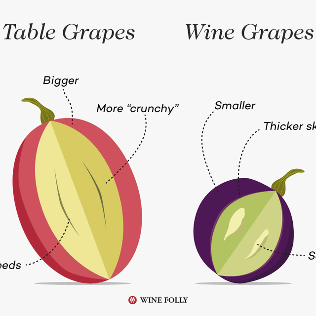 Wine 101 | Wine Course | Wine Folly