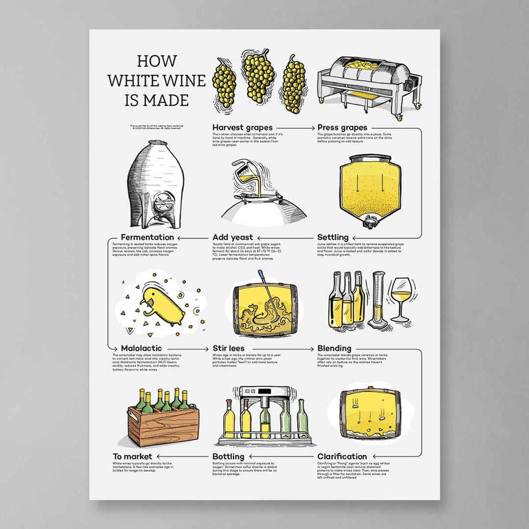 How White Wine is Made Poster | Wine Folly